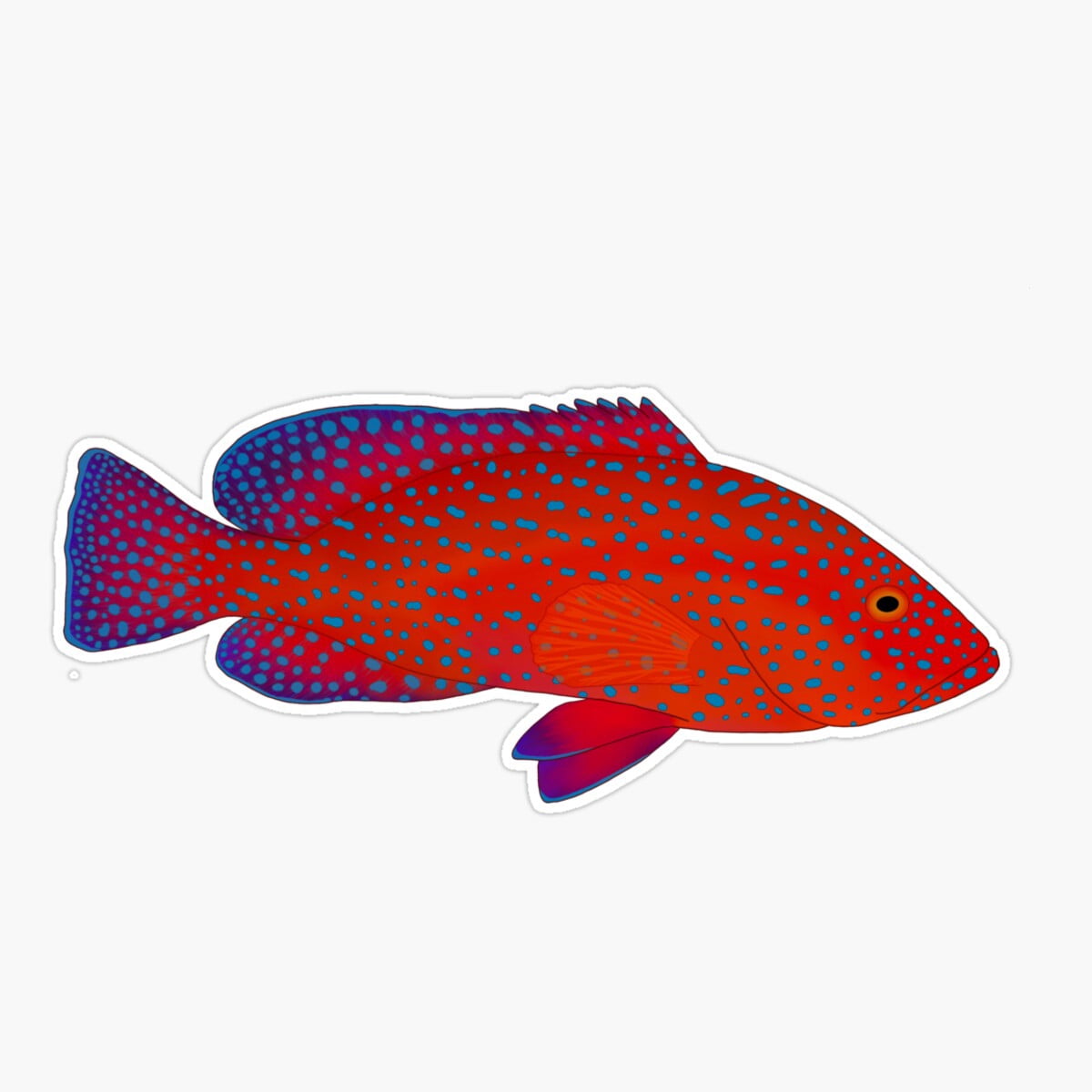 Maneki Coral Grouper Sticker, Phone Decal Water Bottle Stickers Car ...