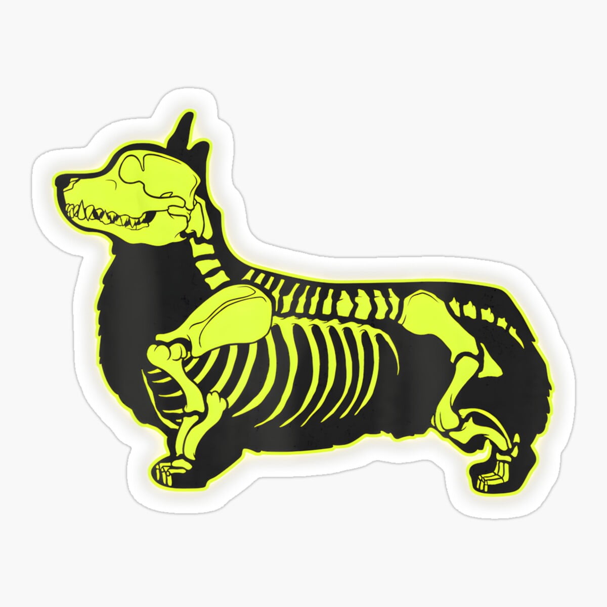 Maneki Corgi Skeleton Dog Lovers Rib Cage X-Ray Er, Phone Decal Water ...