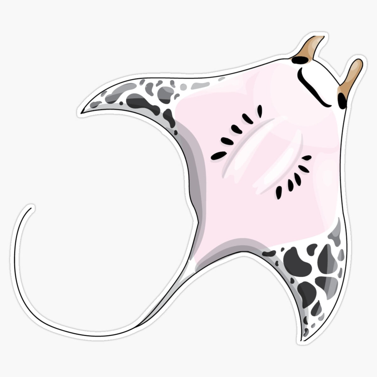 Maneki Cow Manta Ray Er, Phone Decal Water Bottle Stickers Car Decals ...