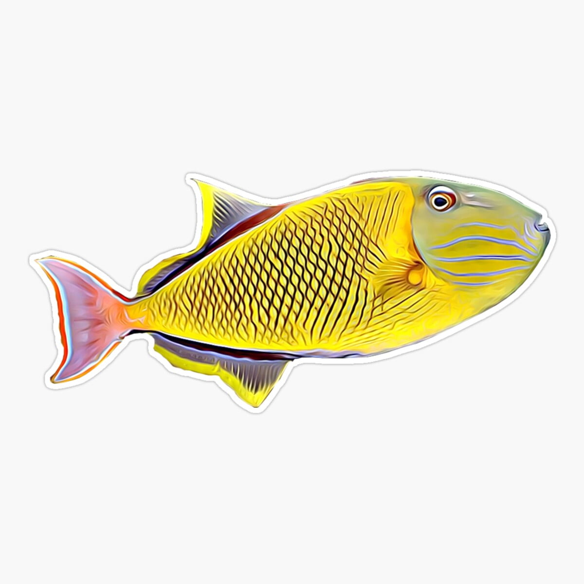 Maneki Crosshatch Trigger Saltwater Ree Aquarium Ish Tank Er, Phone ...