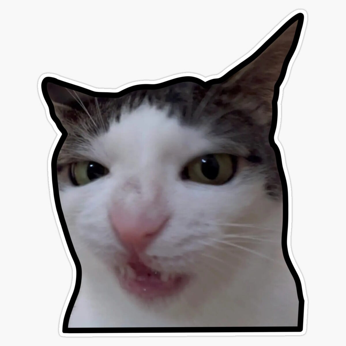 Maneki Crunchy Cat Er, Phone Decal Water Bottle Stickers Car Decals ...