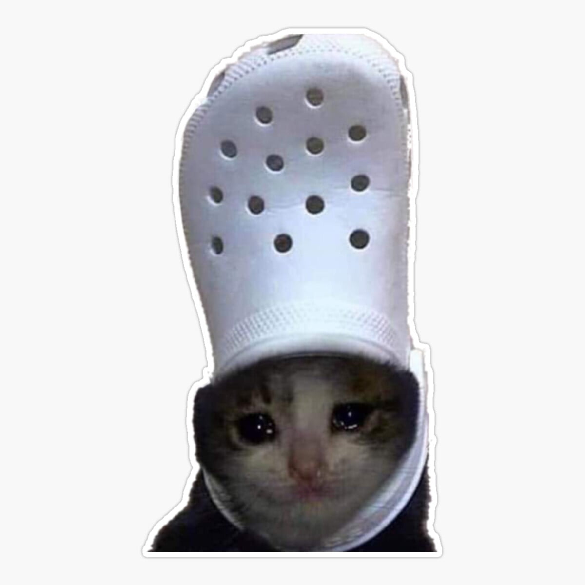 Maneki Crying Cat Croc Sticker, Phone Decal Water Bottle Stickers Car ...