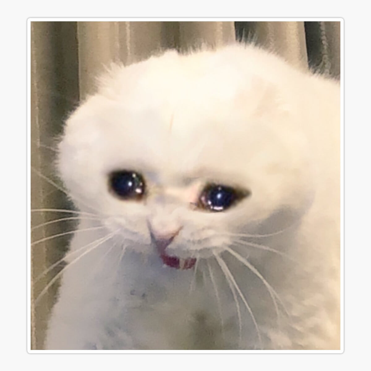 Maneki Crying Cat Sticker, Phone Decal Water Bottle Stickers Car Decals ...