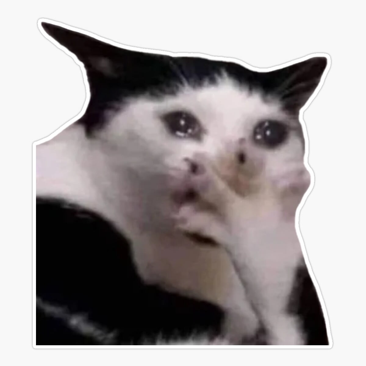 Maneki Crying Cat Sticker, Phone Decal Water Bottle Stickers Car Decals ...