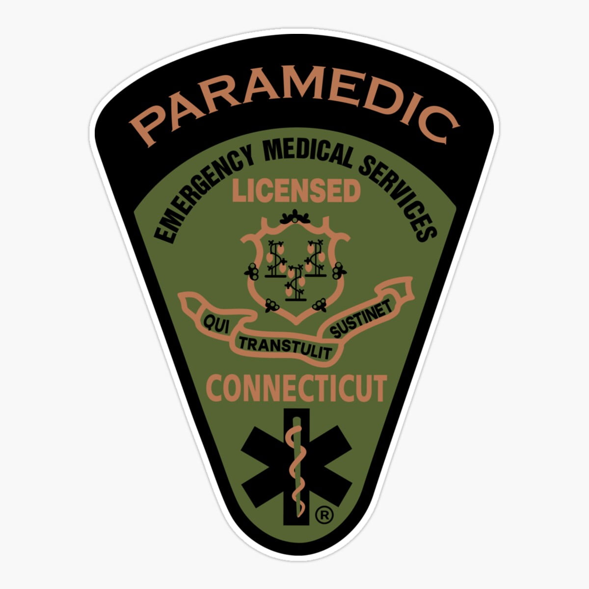 Maneki Ct Ems Paramedic Subdued Er, Phone Decal Water Bottle Stickers ...