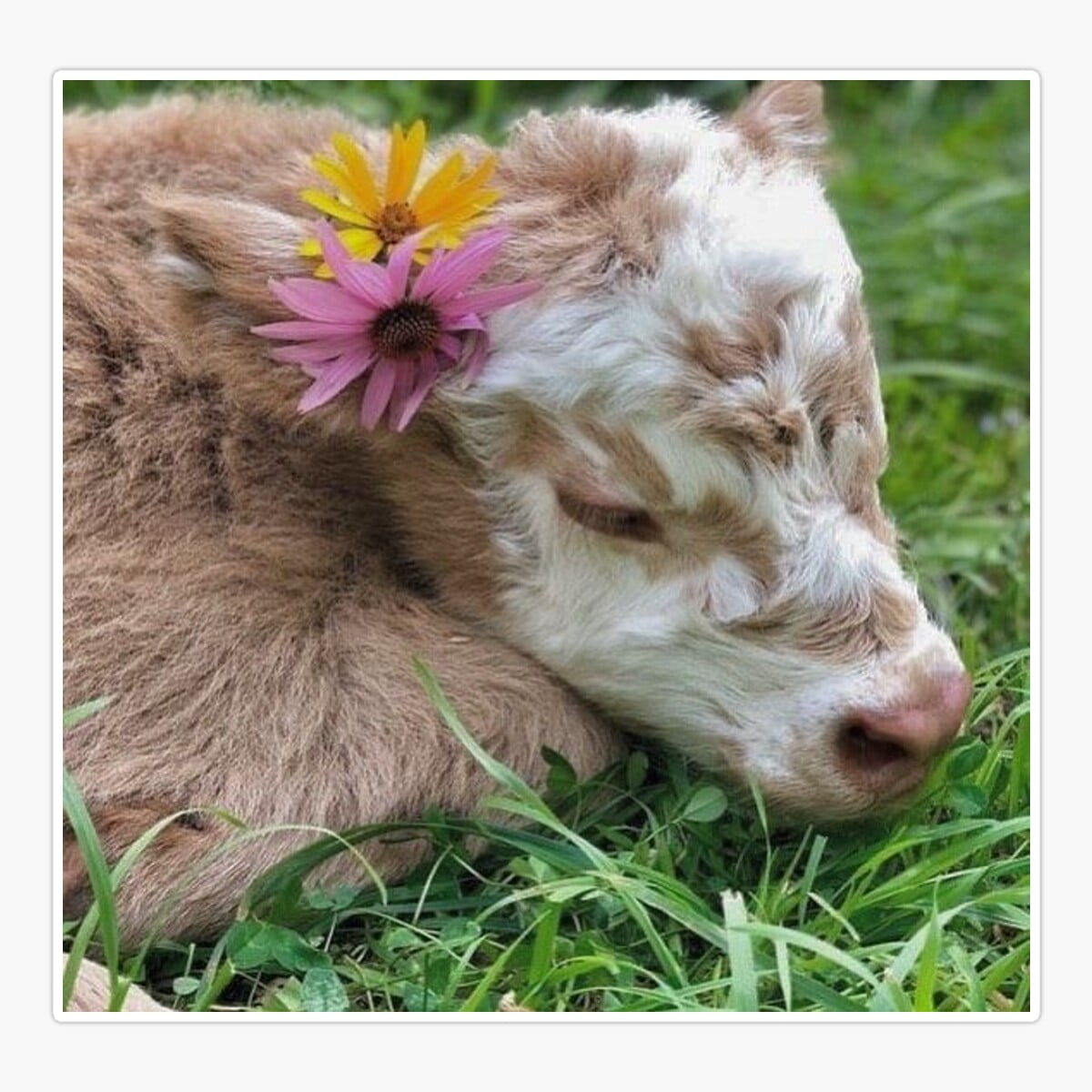 Maneki Cute Cal With Lowers Er, Phone Decal Water Bottle Stickers Car ...