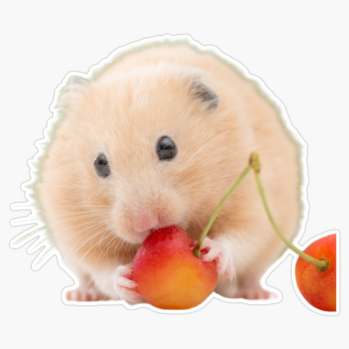 Maneki Cute Hamster Er, Phone Decal Water Bottle Stickers Car Decals ...