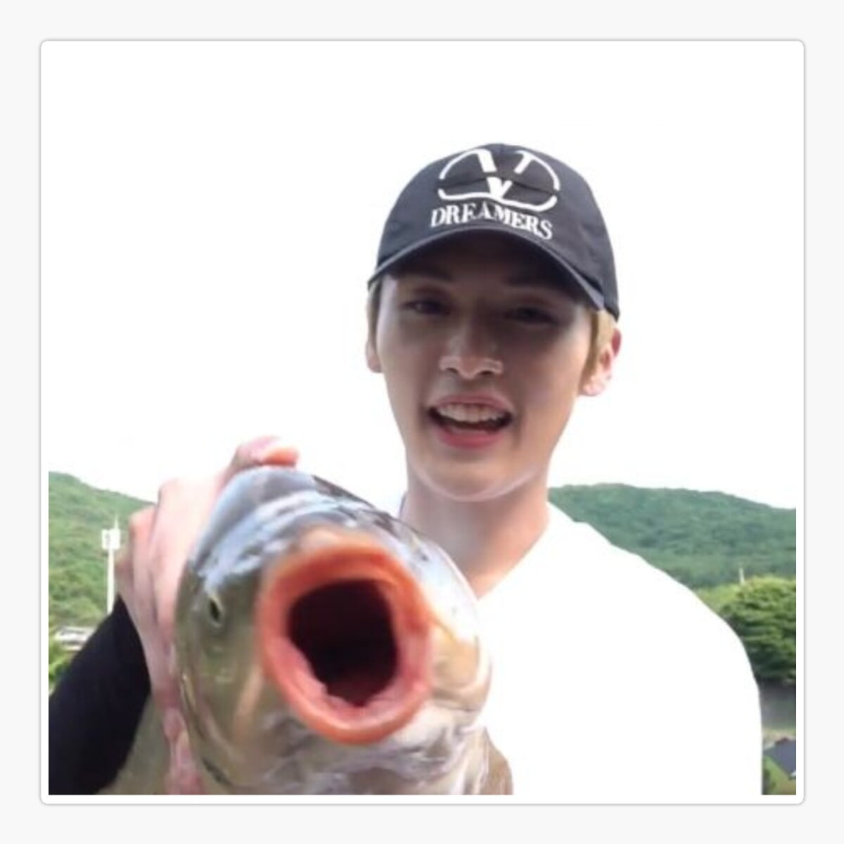 Maneki Cute Leeknow Pic With Ish Er, Phone Decal Water Bottle Stickers ...