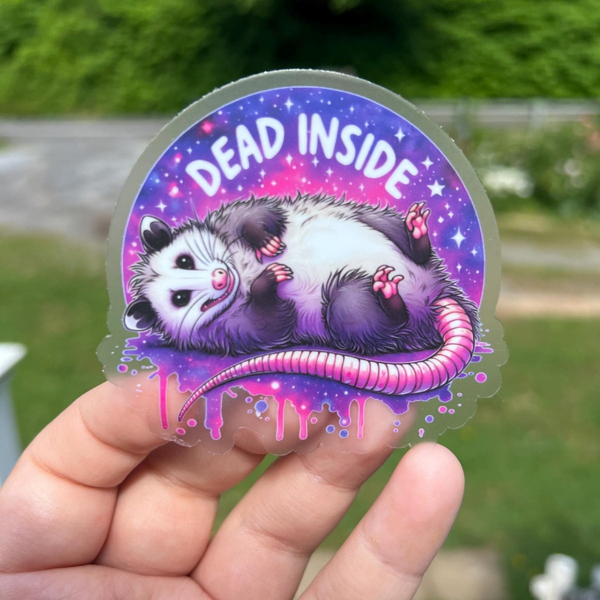 Maneki Dead Inside Possum Clear Sticker, Humor, Cute Possum Sticker ...