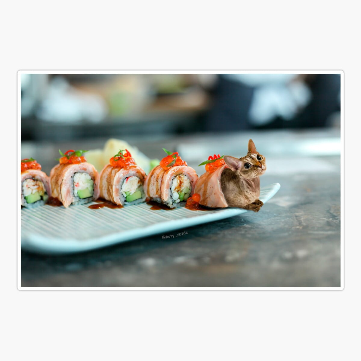 Maneki Delicious Sushi Cat Sticker, Phone Decal Water Bottle Stickers ...