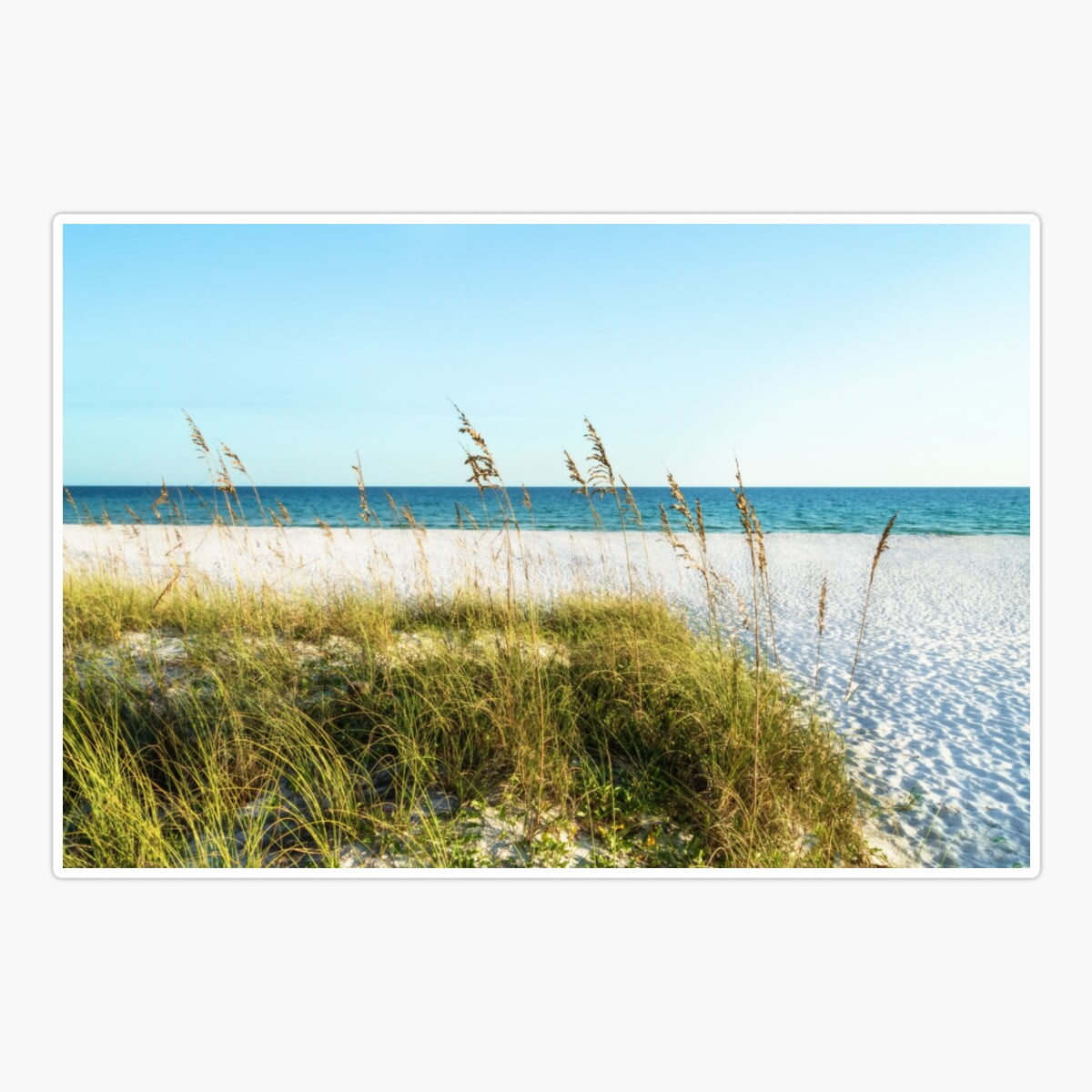 Maneki Destin Beach, Lorida Sticker, Phone Decal Water Bottle Stickers ...