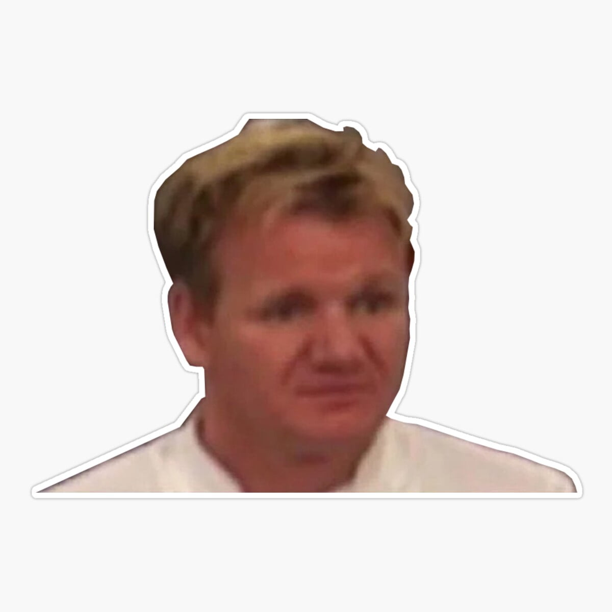 Maneki Disgusted Gordon Ramsay Sticker, Phone Decal Water Bottle ...