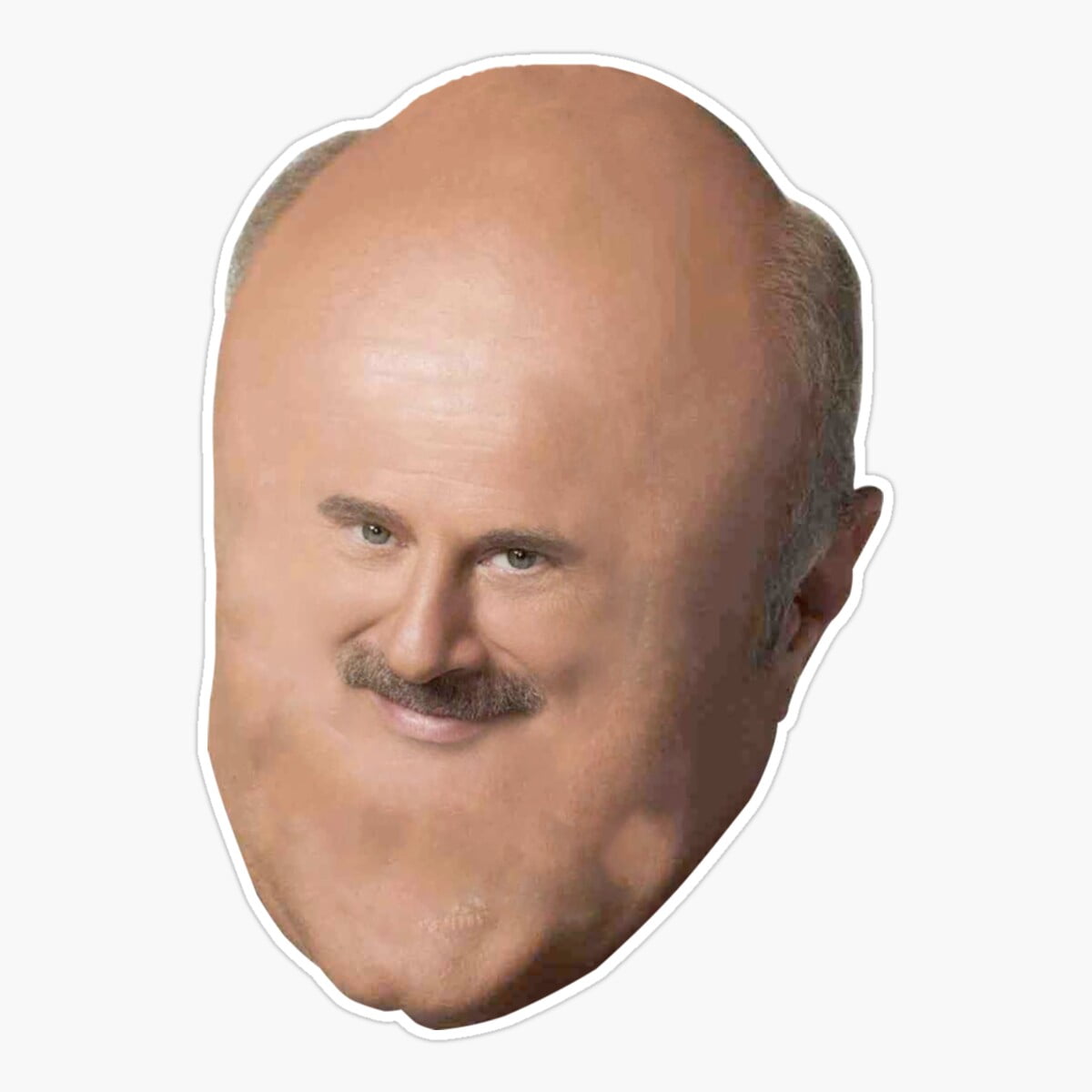 Maneki Dr. Phil Er, Phone Decal Water Bottle Stickers Car Decals, Funny ...