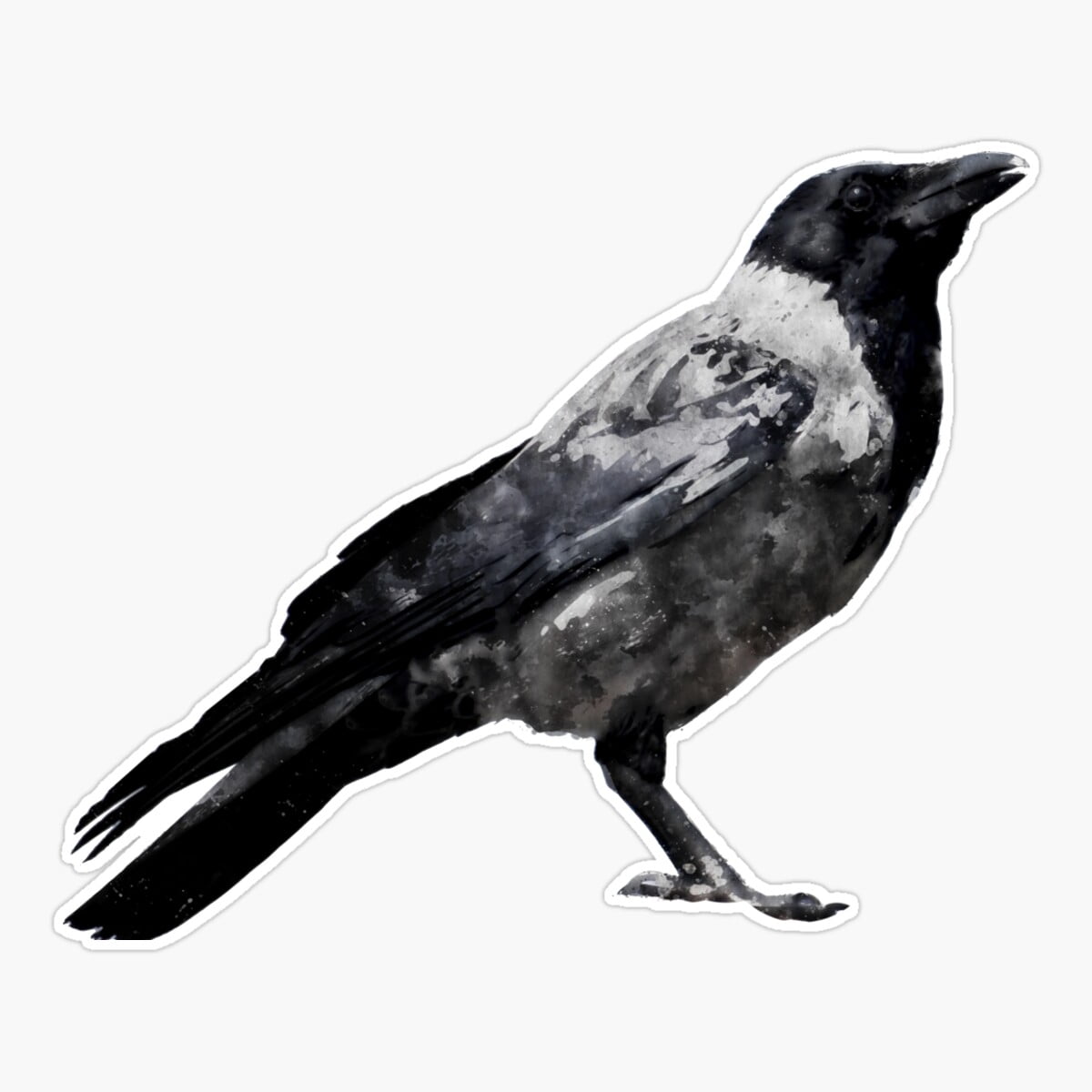 Maneki Dramabite Watercolour Crow Raven Er, Phone Decal Water Bottle ...