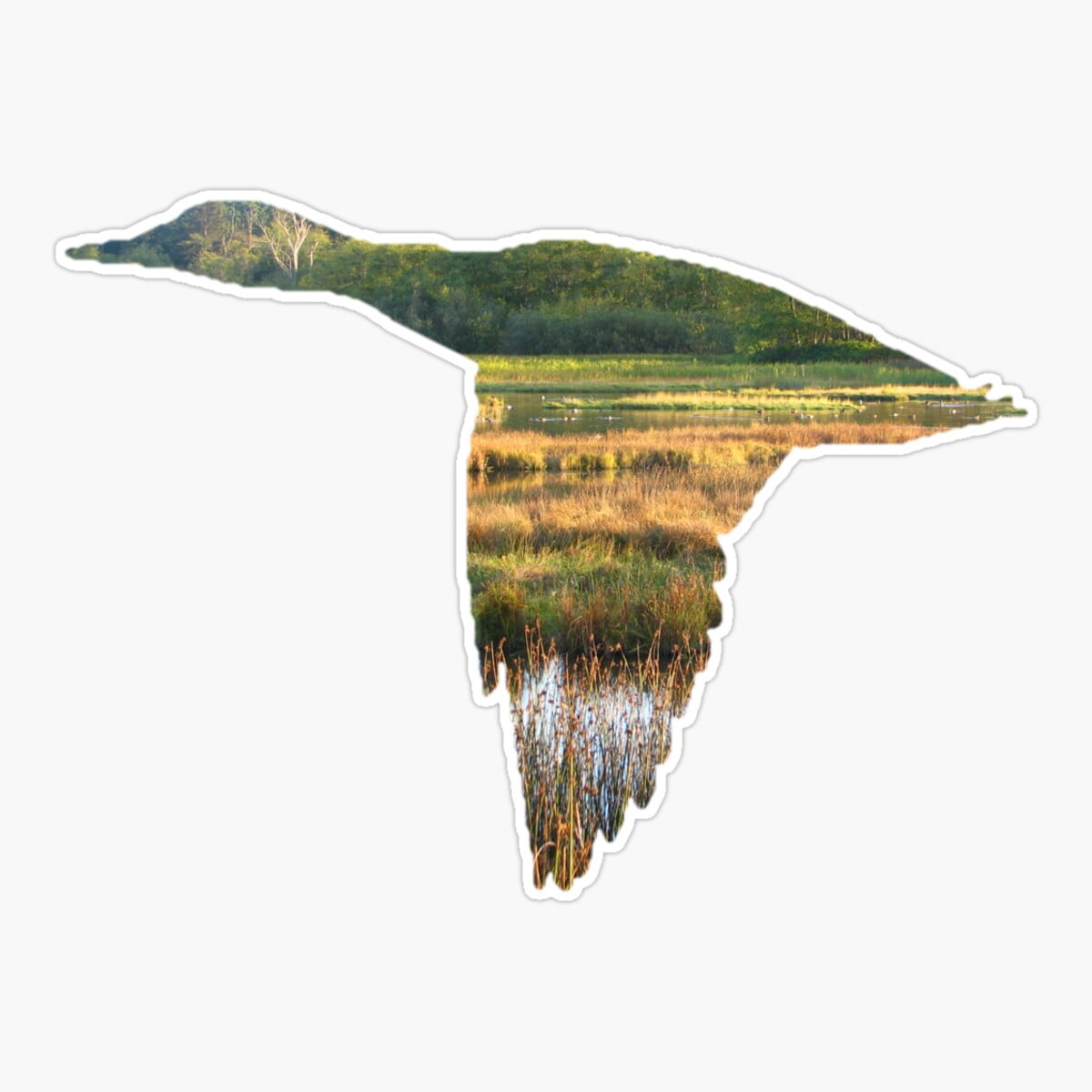 Maneki Duck Marsh Er, Phone Decal Water Bottle Stickers Car Decals ...