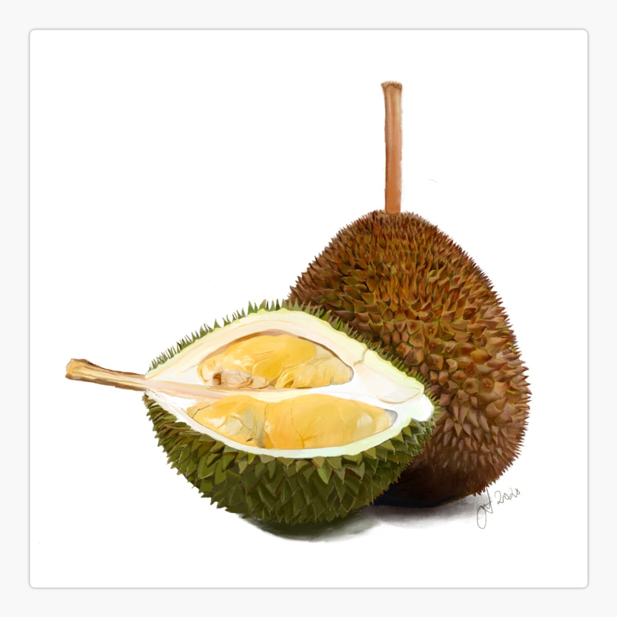 Maneki Durian Ruit Still Lie Drawing Sticker, Phone Decal Water Bottle ...