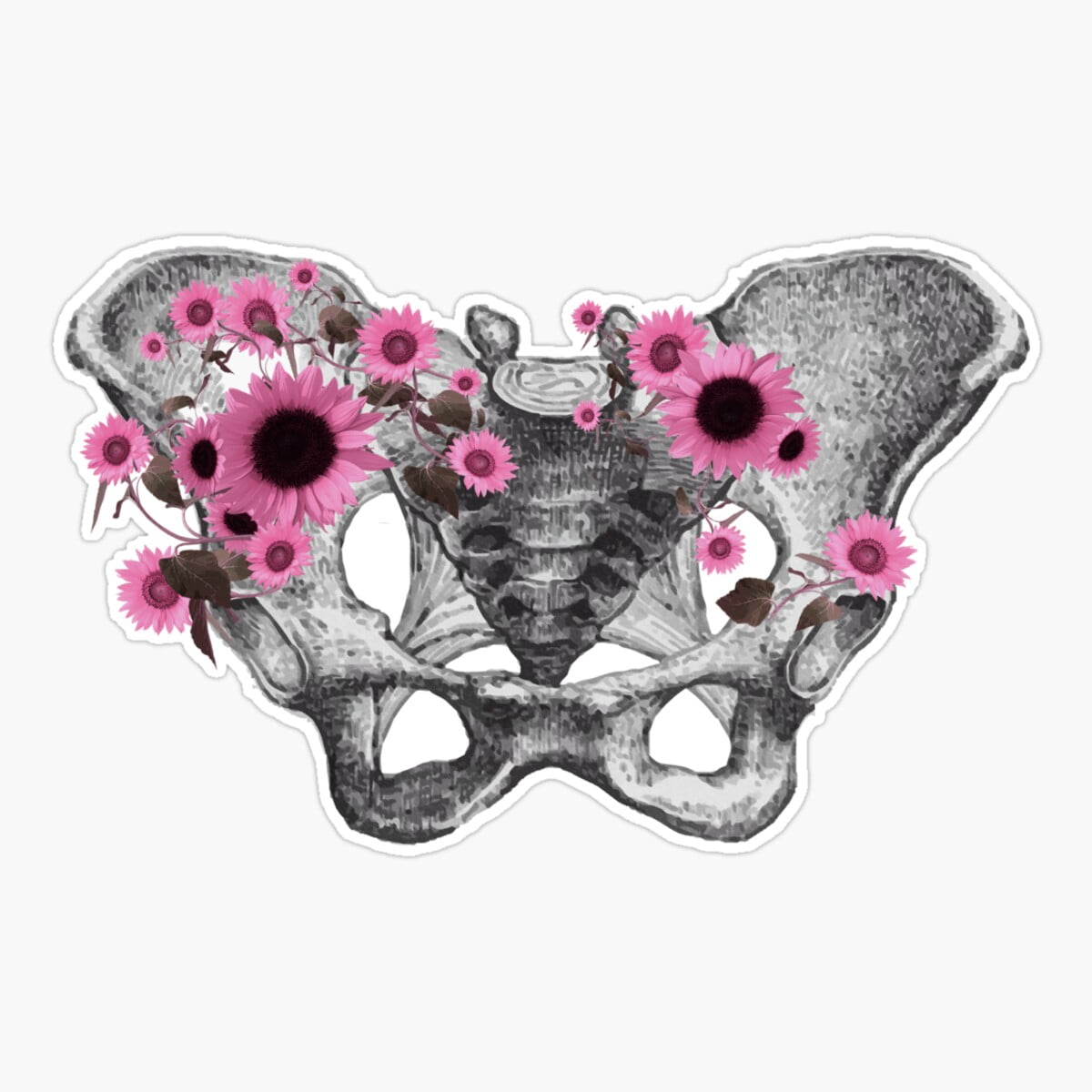 Maneki Emale Bones O The Pelvis, Pink Lowers Eminism, Anatomy, Skeleton ...