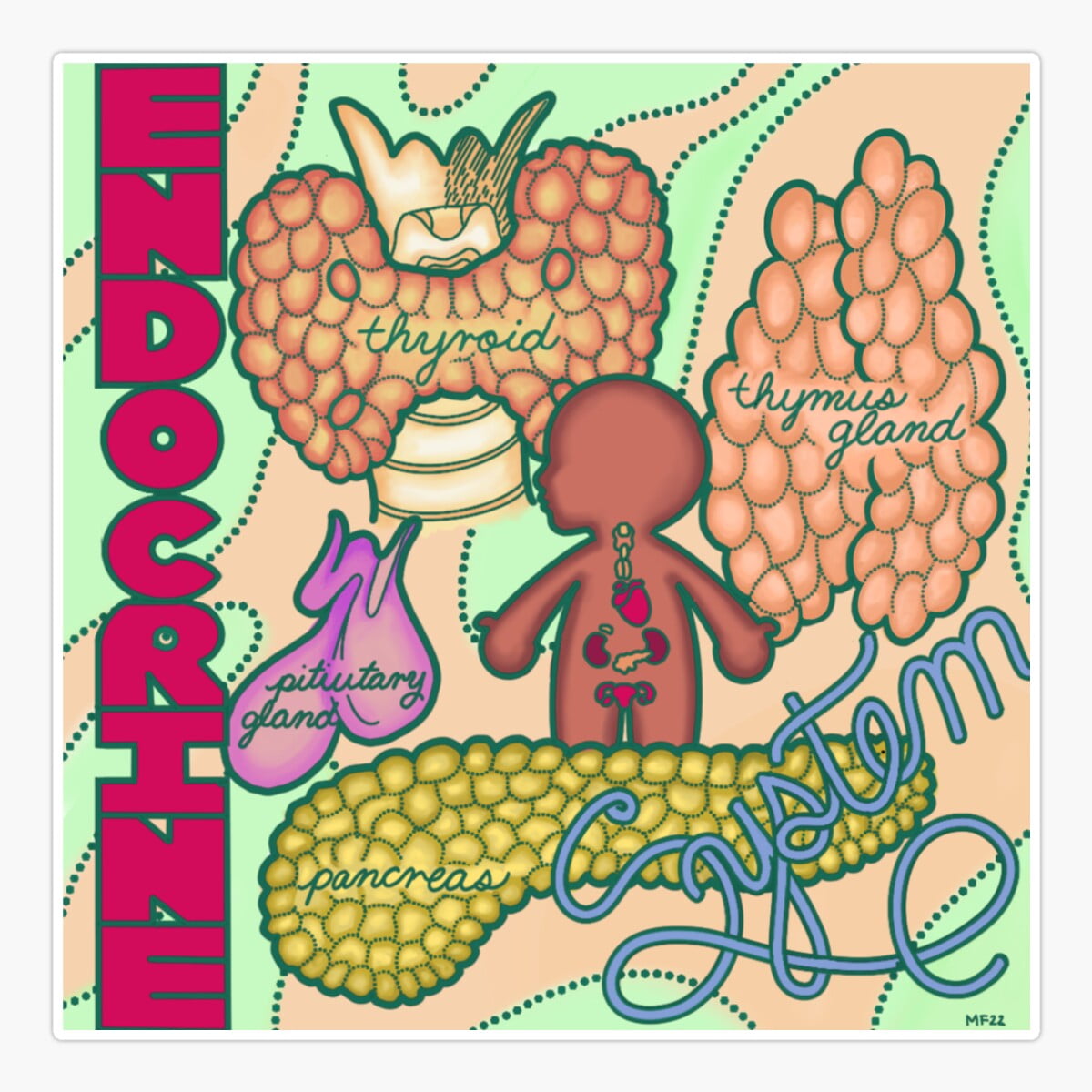 Maneki Endocrine System Er, Phone Decal Water Bottle Stickers Car ...