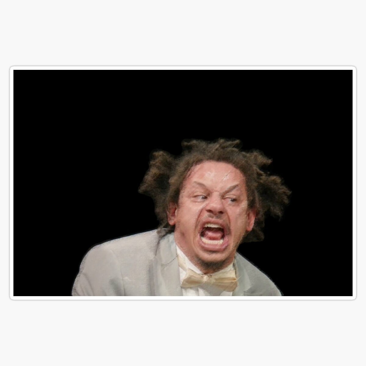 Maneki Eric Andre Scream Er, Phone Decal Water Bottle Stickers Car ...