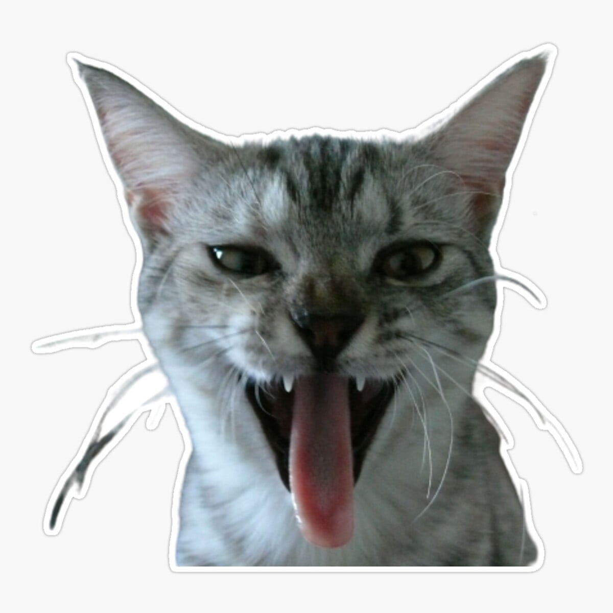 Maneki Evil Cat With An Evil Laugh | Unny Cat Sticker, Phone Decal Water Bottle Stickers Car ...