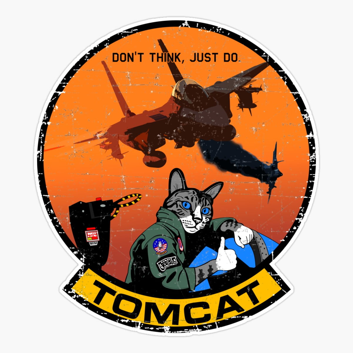 Maneki F-14 Tomcat - Tomcat Gypsy - Dont Think, Just Do - Grunge Style ...