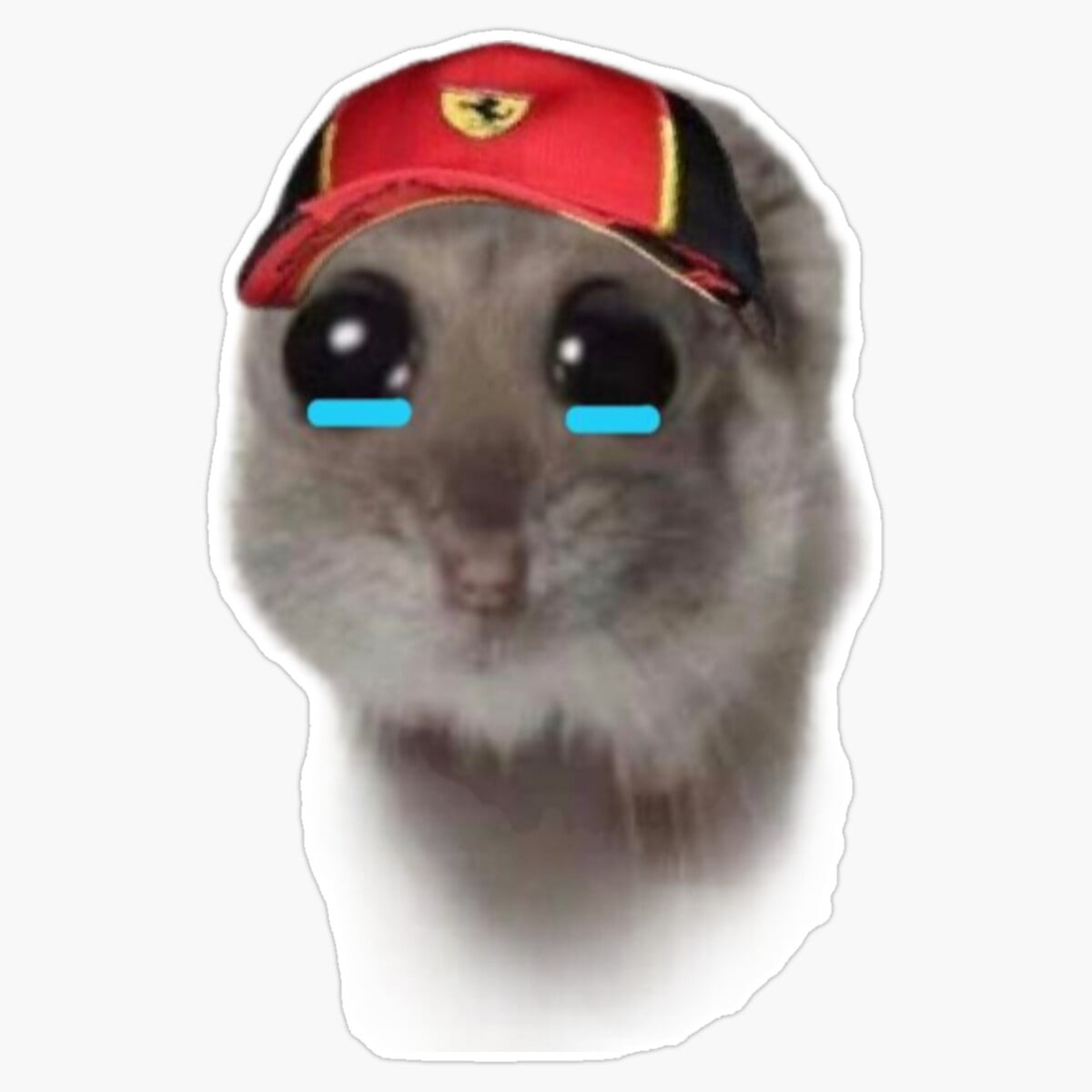 Maneki Ferrari Fan After Max Verstappen Win Again Er, Phone Decal Water ...