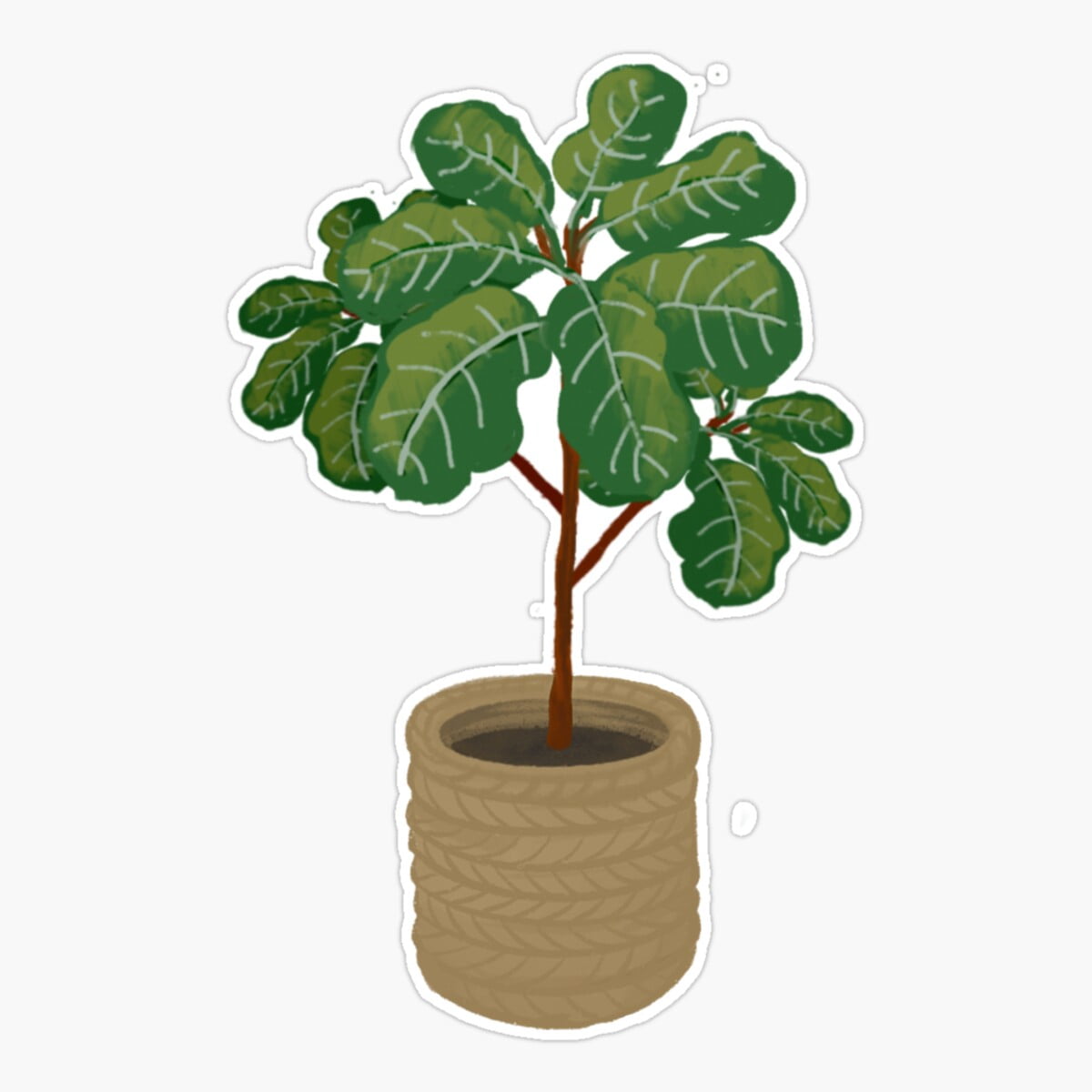 Maneki Fiddle Leaf Fig Plant Er, Phone Decal Water Bottle Stickers Car ...