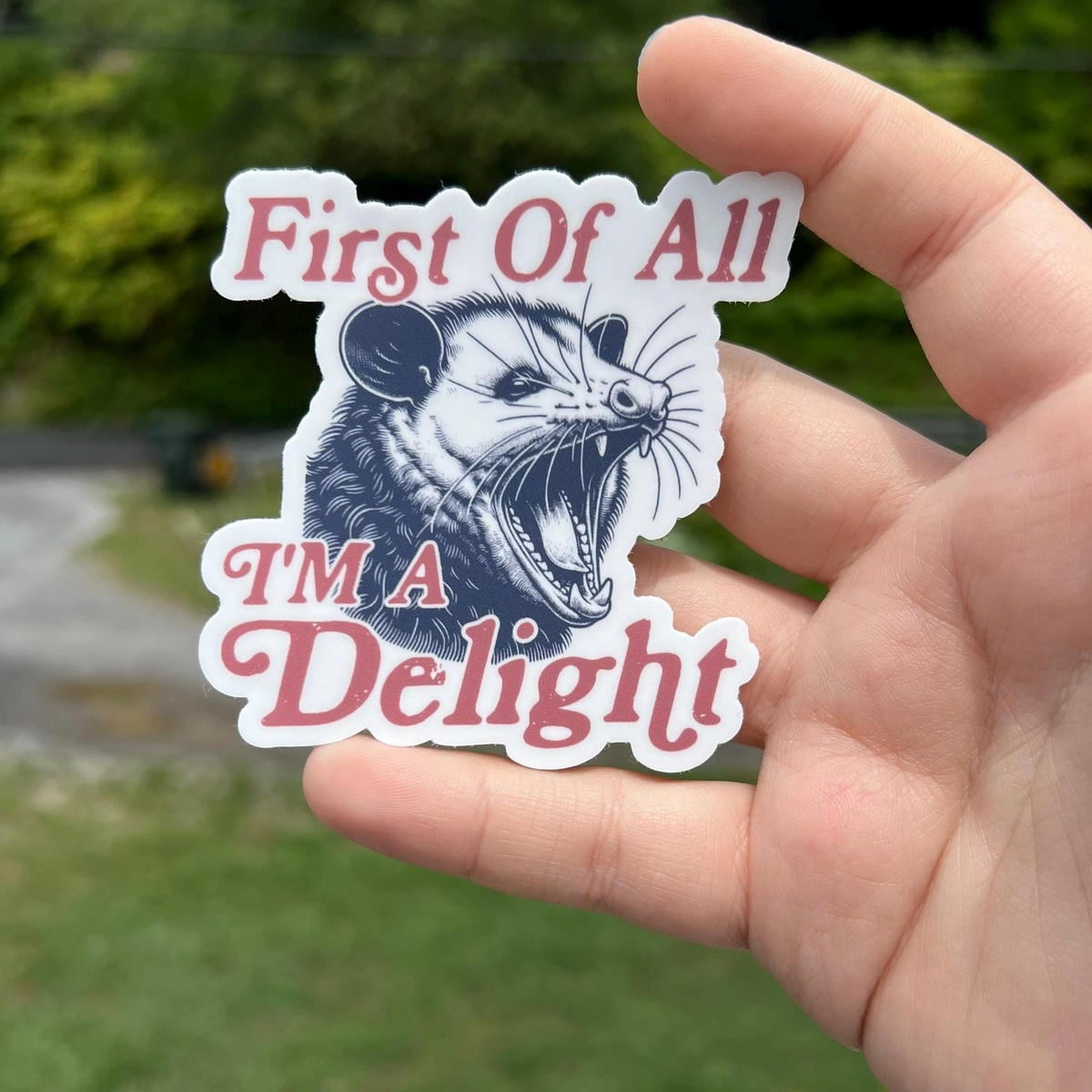 Maneki First Of All I’M A Delight Possum Sticker Funny Sticker ...