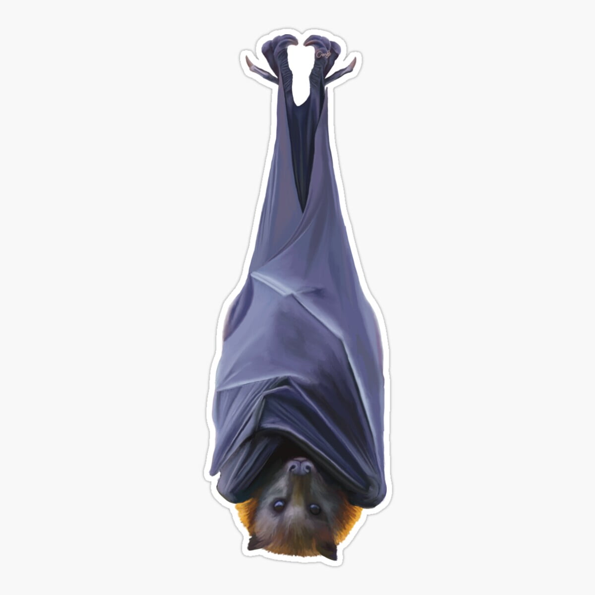 Maneki Flying Fox Bat Illustration. Australian Fruit Bat Art Work ...