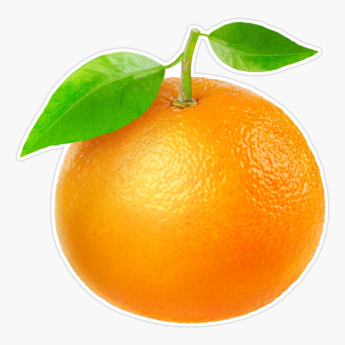 Maneki Fresh Tangerine Er, Phone Decal Water Bottle Stickers Car Decals ...