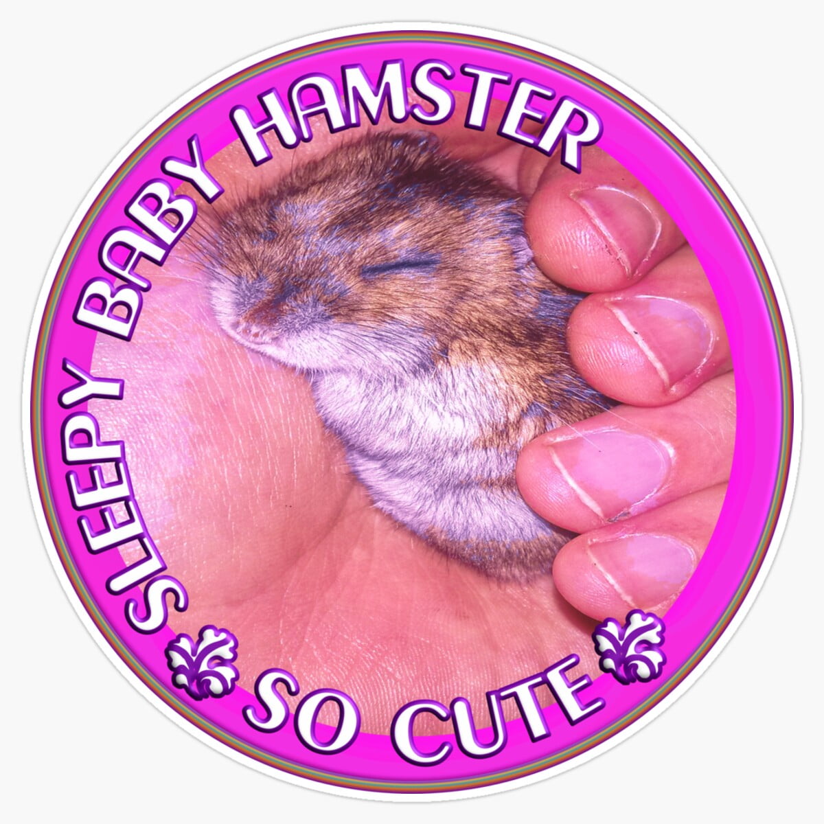 Maneki Funny Sleepy Baby Hamster So Cute. Er, Phone Decal Water Bottle ...