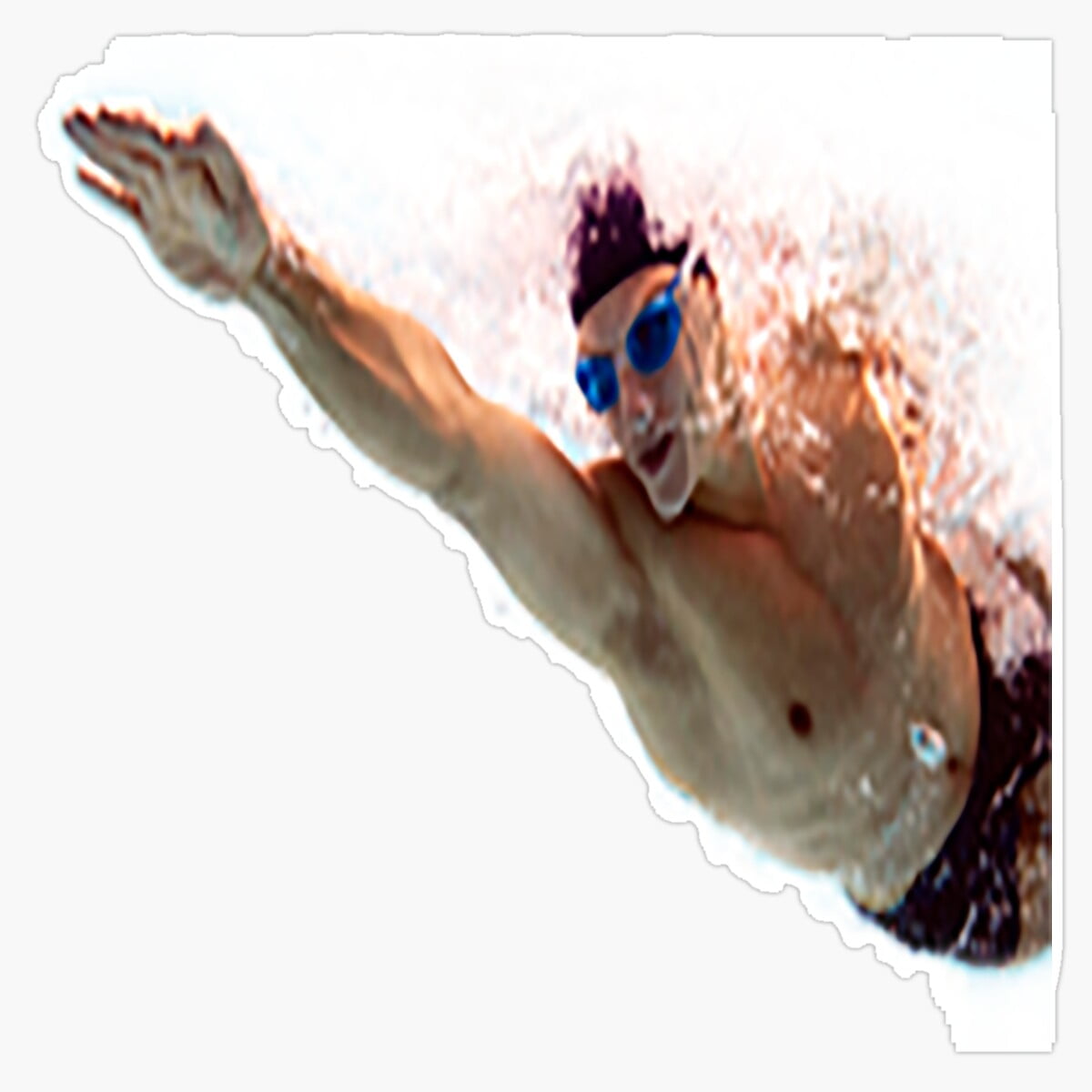 Maneki Fwc 4506 Swim Sport Er, Phone Decal Water Bottle Stickers Car ...