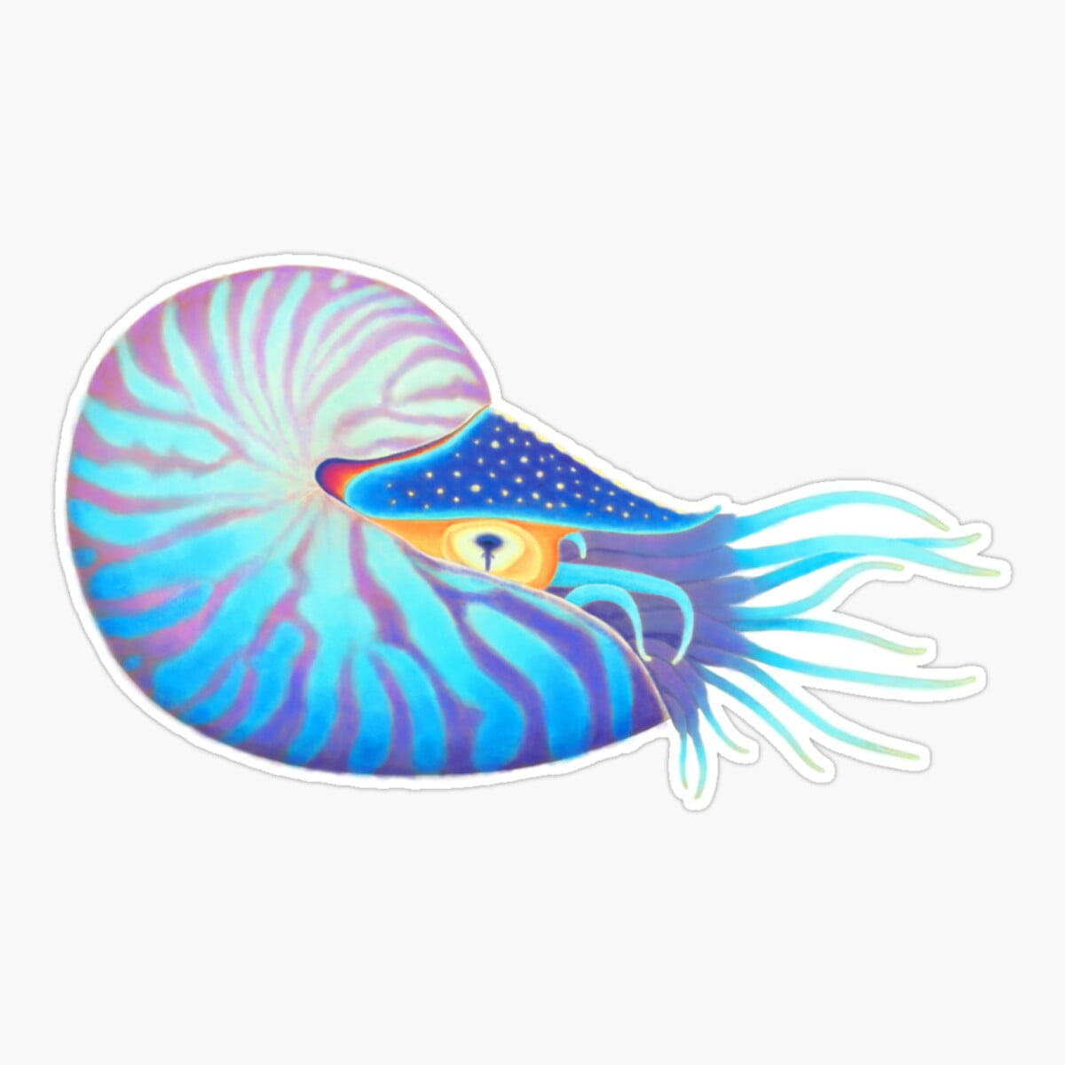 Maneki Galactic Nautilus Sticker, Phone Decal Water Bottle Stickers Car ...