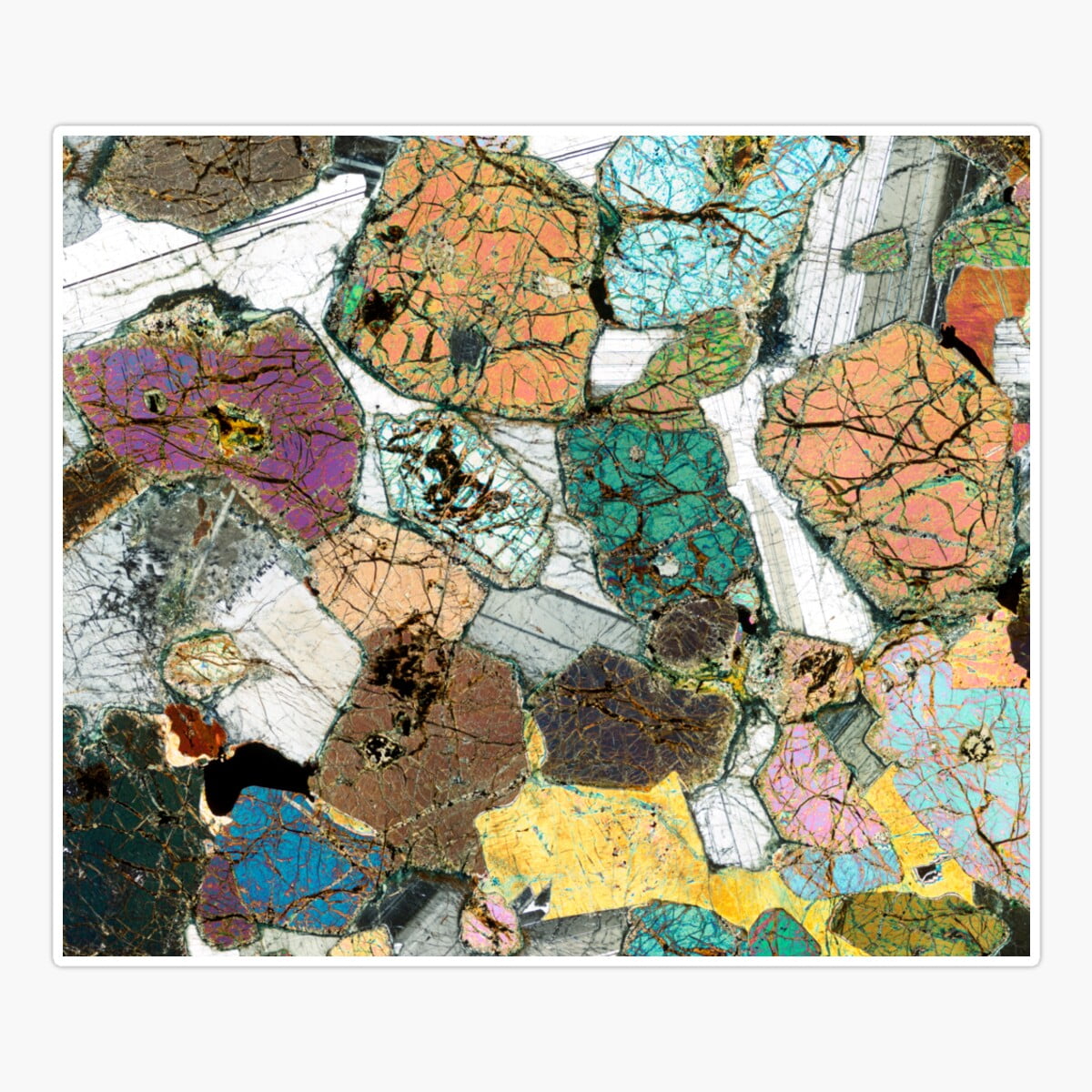Maneki Geology Gift - Peridotite From Ardnamurchan, Scotland Rock Thin ...
