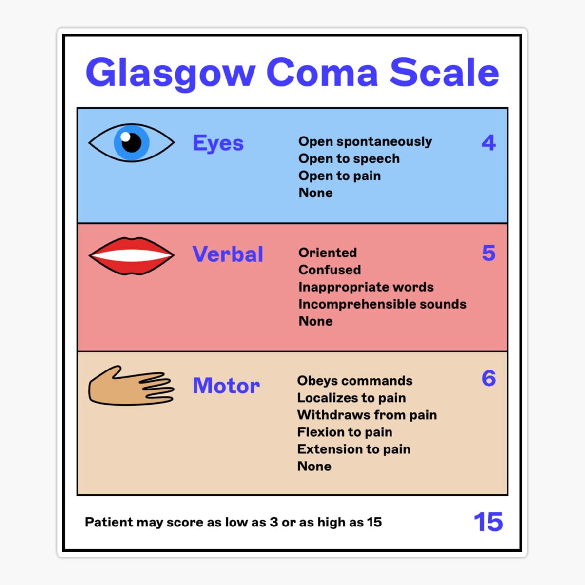 Maneki Glasgow Coma Scale - Reference Card Er, Phone Decal Water Bottle ...
