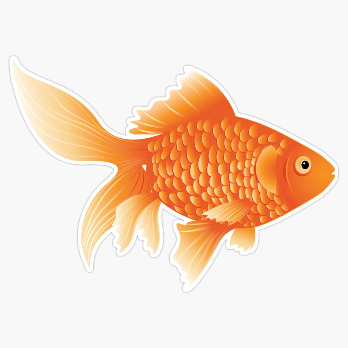 Maneki Gold Fish Er, Phone Decal Water Bottle Stickers Car Decals, Funny Birthday Gift - Walmart.com