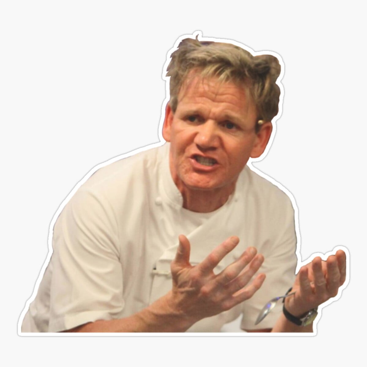 Maneki Gordon Ramsay | Che Shirt | Che T-Shirt Sticker, Phone Decal ...