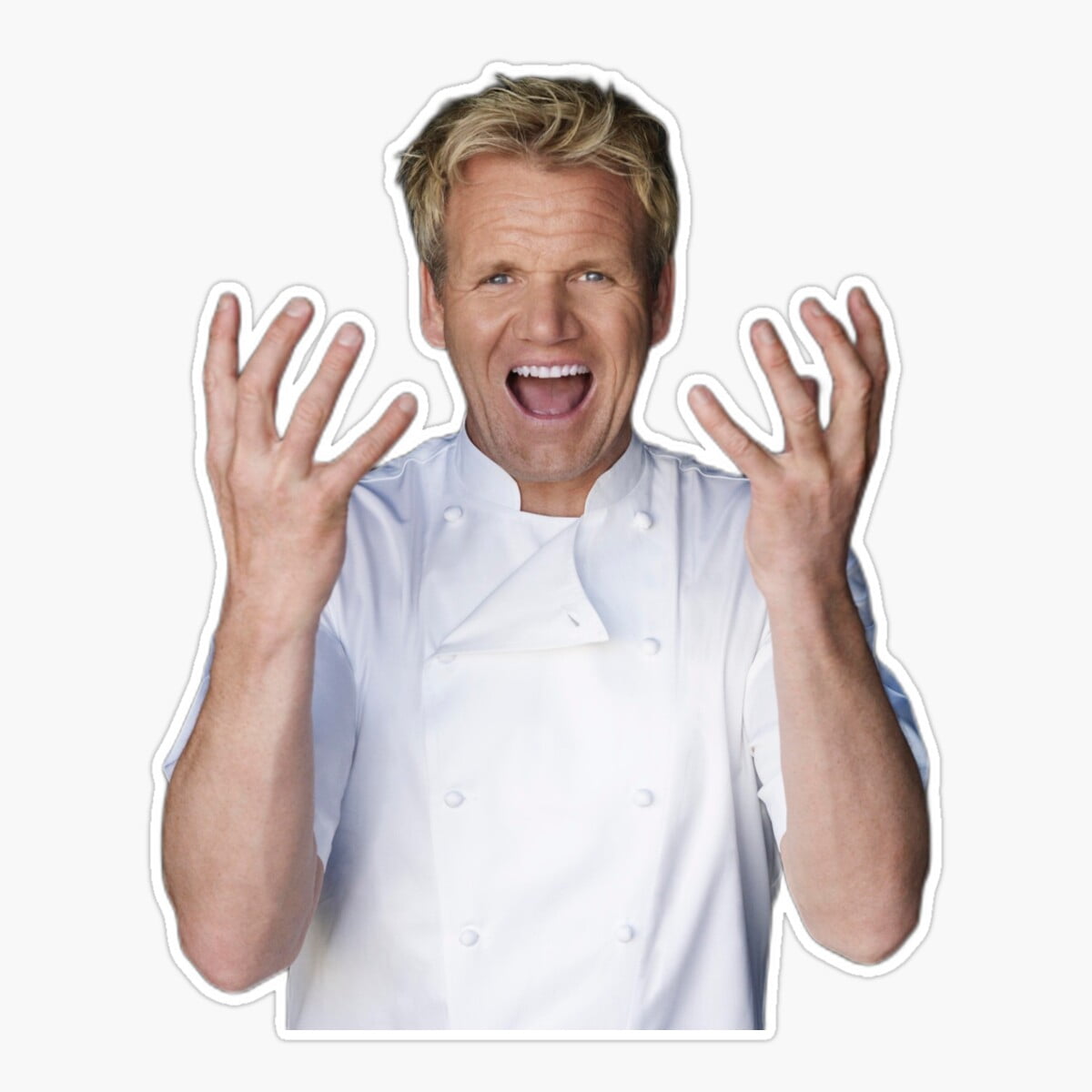Maneki Gordon Ramsay Cutout Sticker, Phone Decal Water Bottle Stickers ...