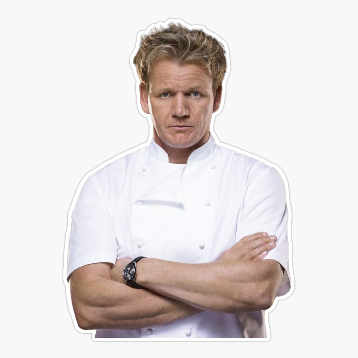 Maneki Gordon Ramsay Cutout Sticker, Phone Decal Water Bottle Stickers ...