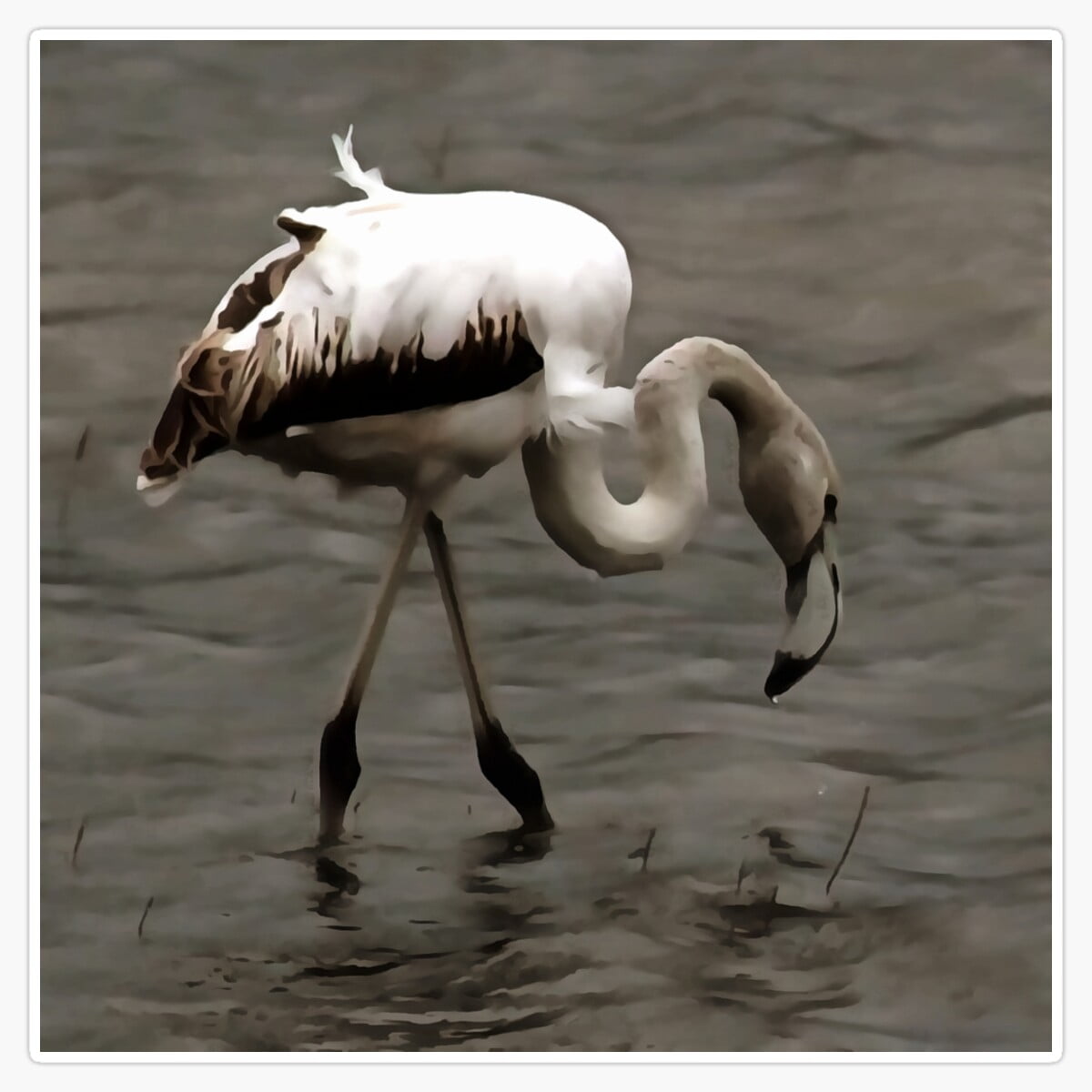 Maneki Graceful Grey Flamingo Fledgling Acrylic Art Er, Phone Decal ...