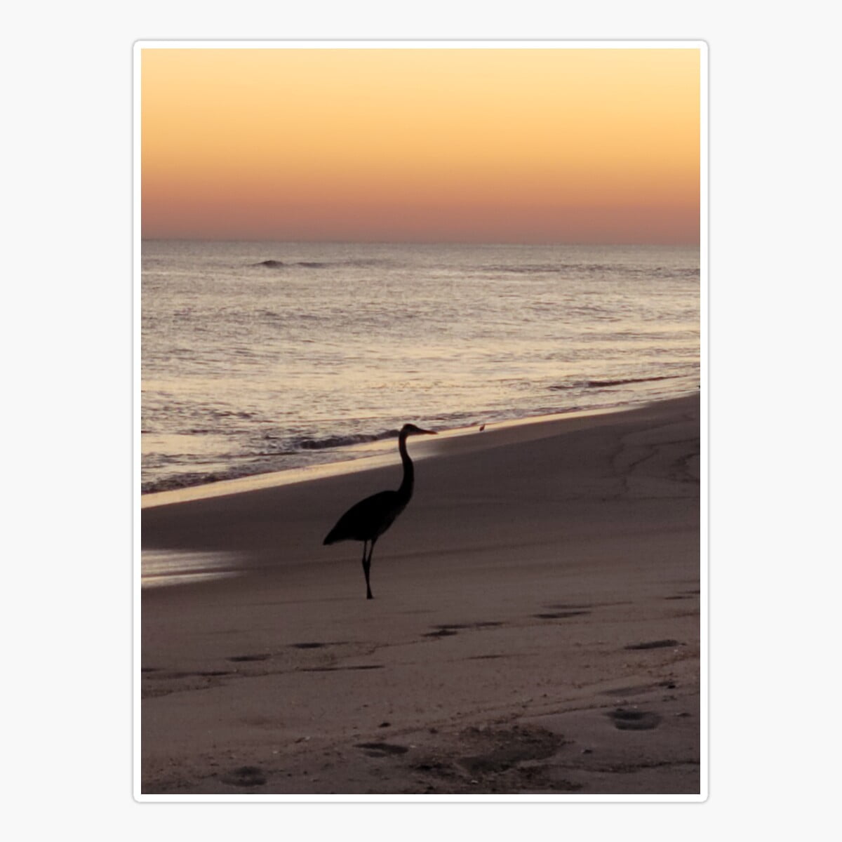 Maneki Great Blue Heron On The Beach At Sunset Sticker, Phone Decal ...