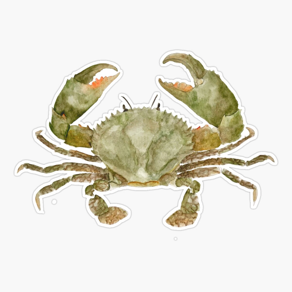 Maneki Green Mud Crab Sticker, Phone Decal Water Bottle Stickers Car ...