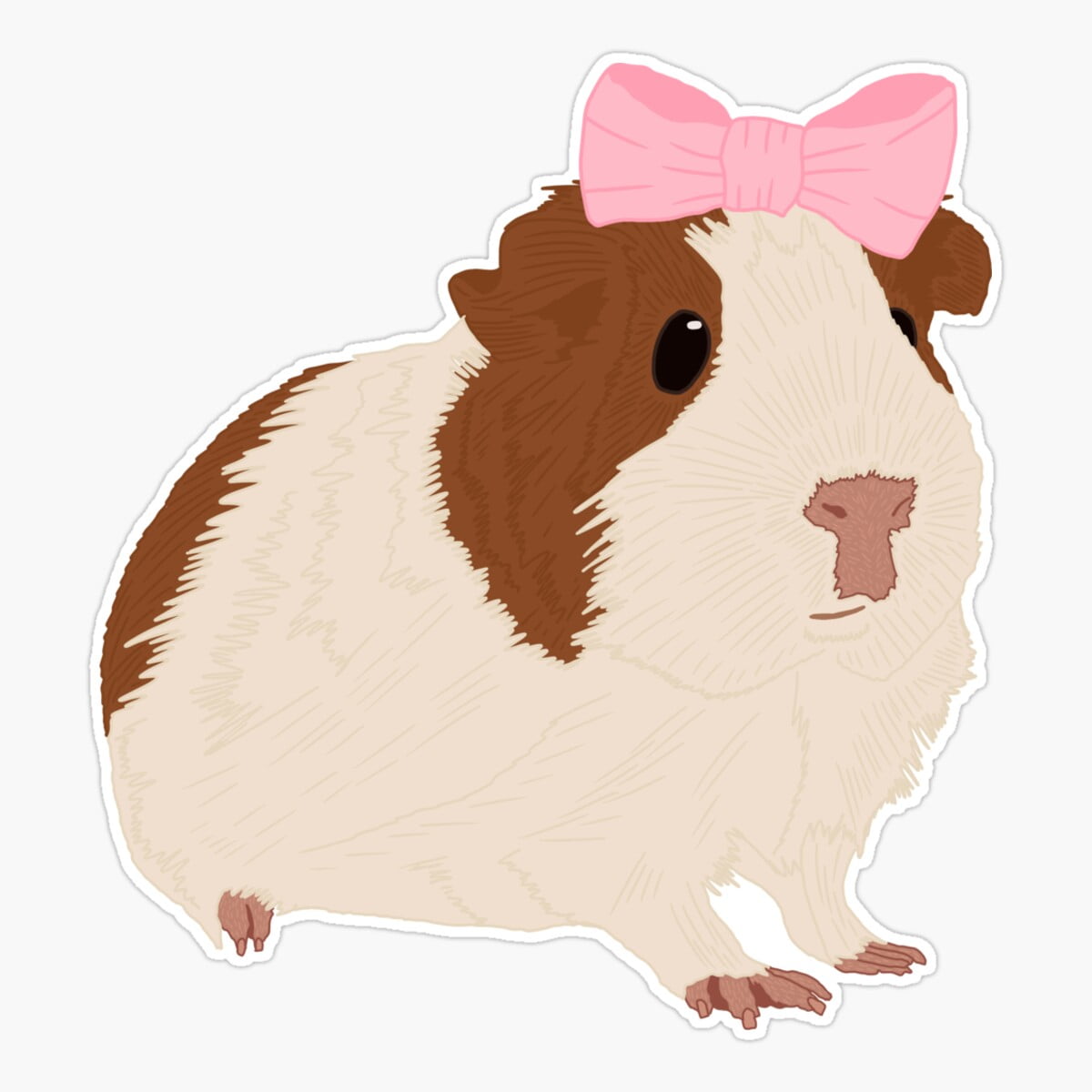 Maneki Guinea Pig Bow Er, Phone Decal Water Bottle Stickers Car Decals ...