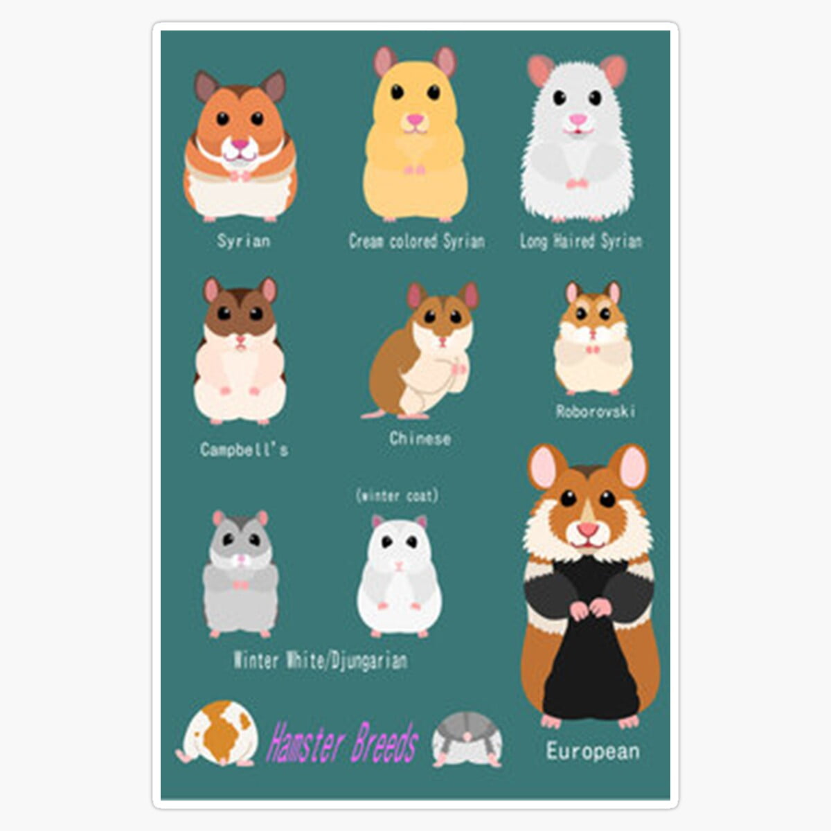 Maneki Hamster Breeds Syrian Hamster Er, Phone Decal Water Bottle ...
