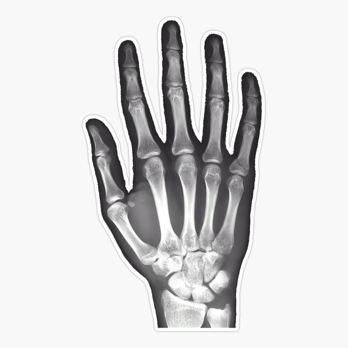 Maneki Hand X-Ray Er, Phone Decal Water Bottle Stickers Car Decals ...