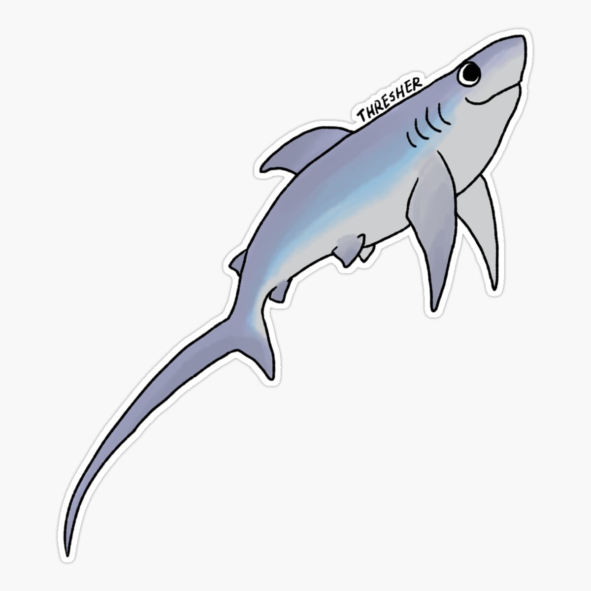 Maneki Happy Sharks - Thresher Sticker, Phone Decal Water Bottle ...