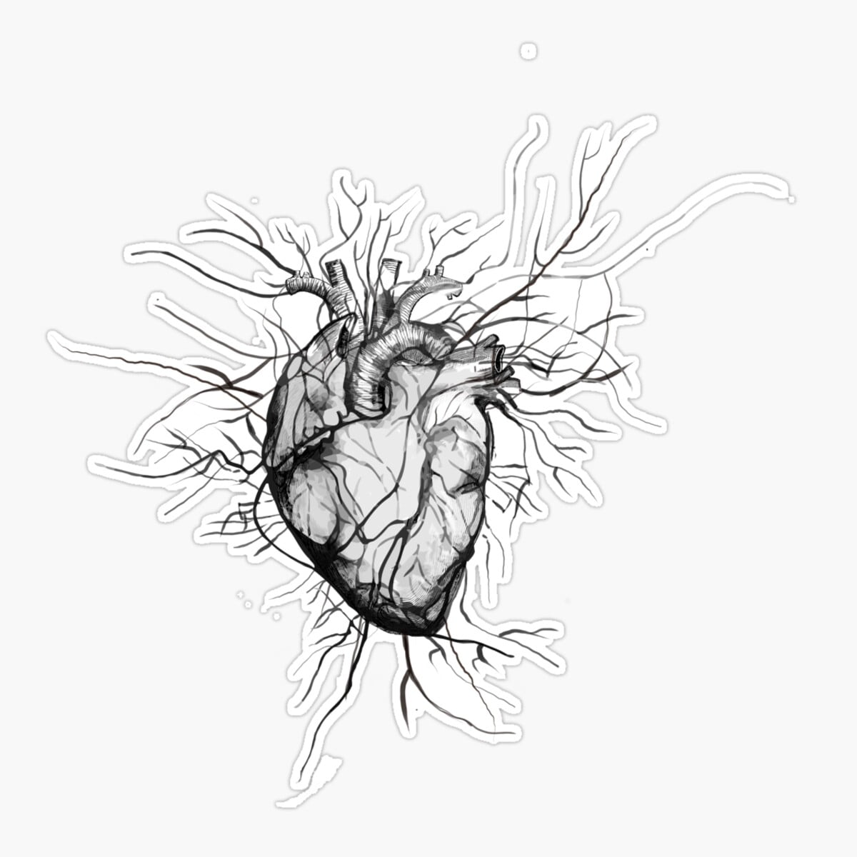 Maneki Heart Human Anatomy Artery Black And White Er, Phone Decal Water ...