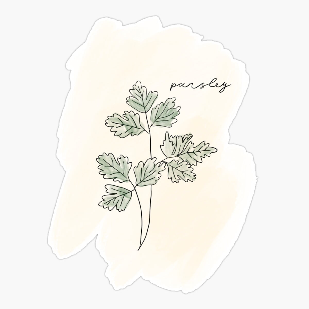 Maneki Herb Kitchen Print, Parsley Sticker, Phone Decal Water Bottle ...
