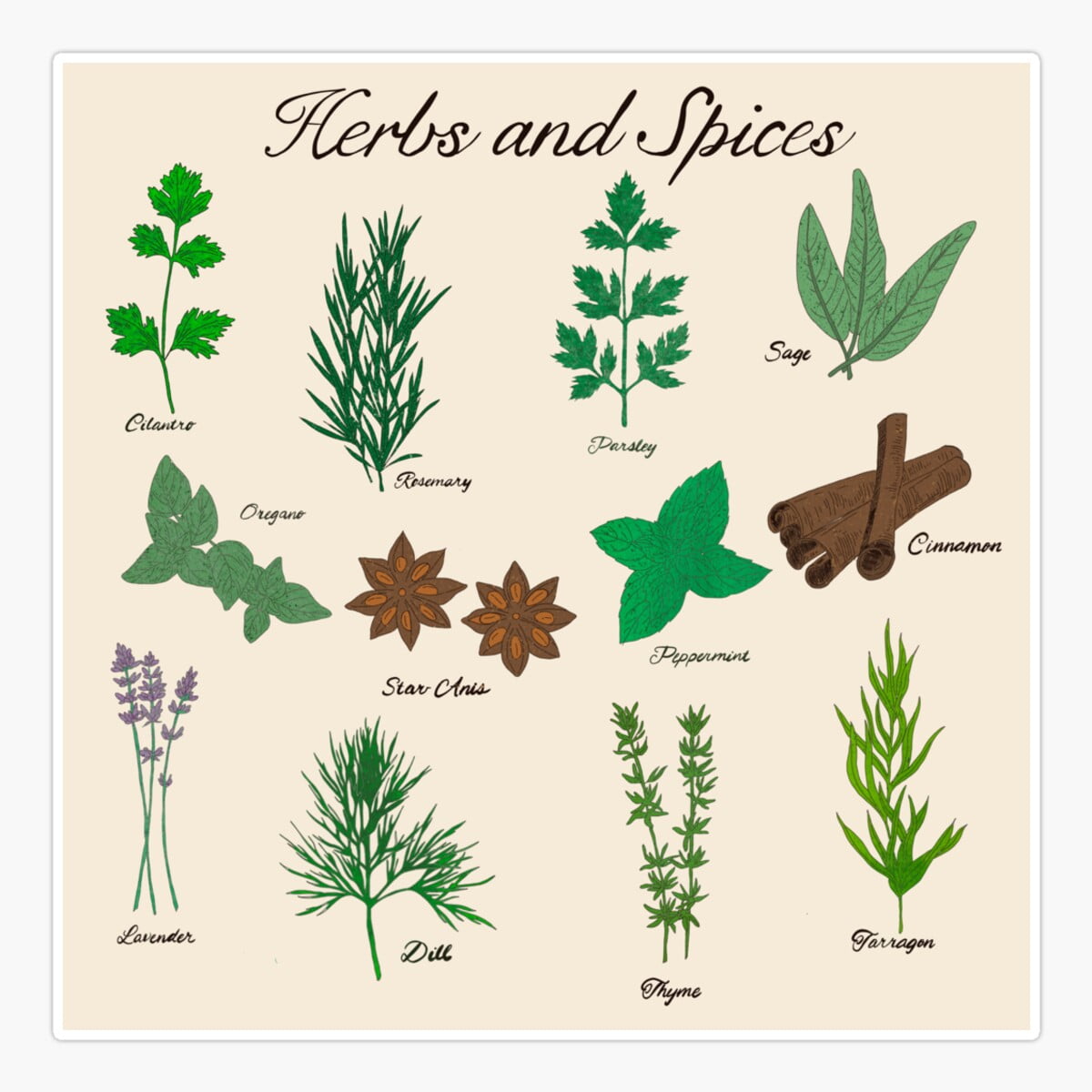 Maneki Herbs And Spices Colored Sticker, Phone Decal Water Bottle ...