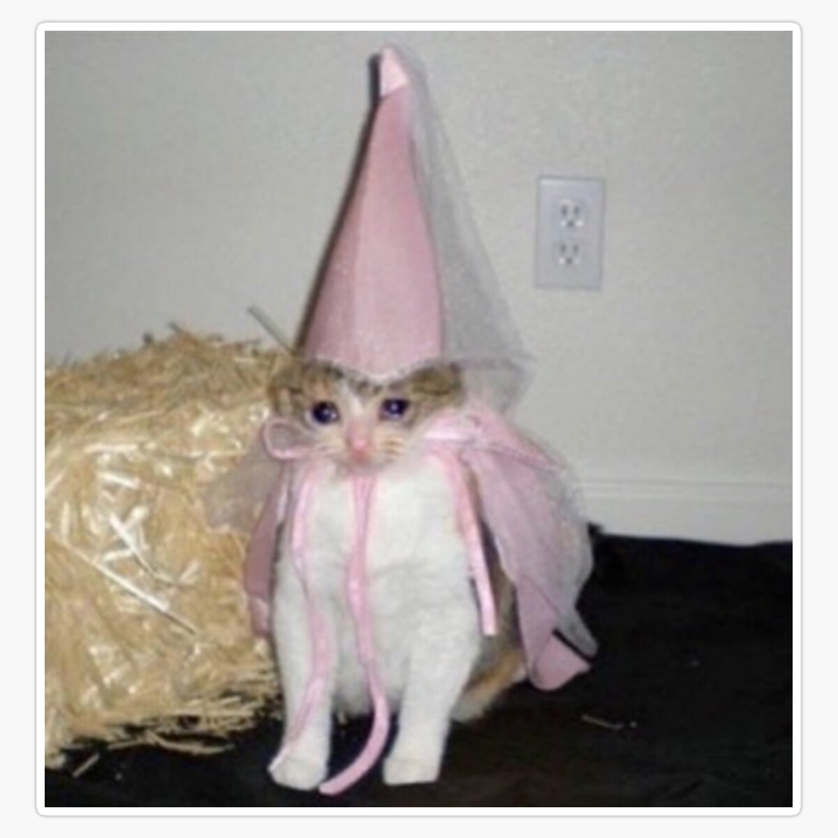 Maneki Here Comes A Special Boy Er, Phone Decal Water Bottle Stickers ...